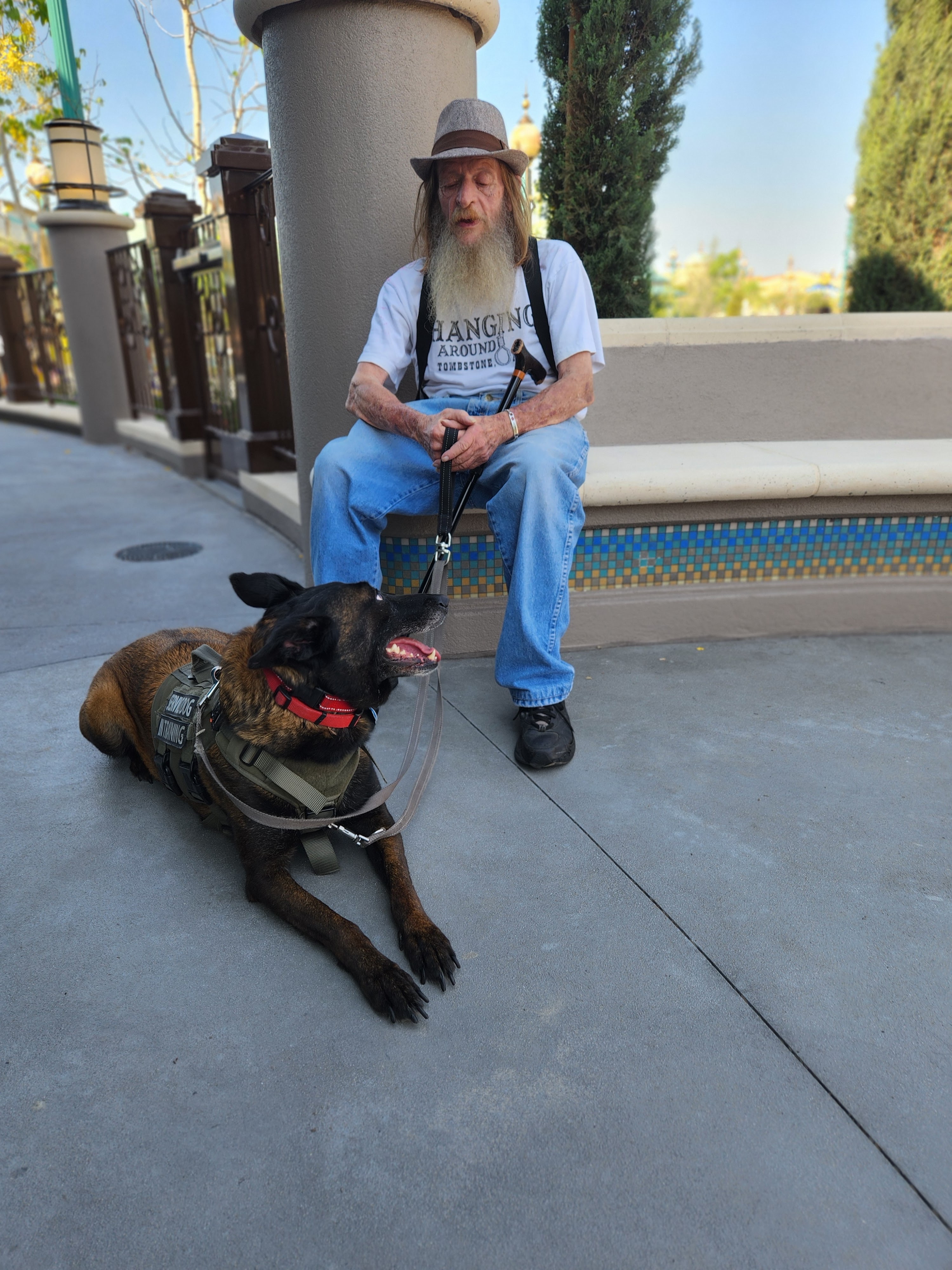 Service Dog Journey: Lady Priscilla's Story - Lady Priscilla: From ...
