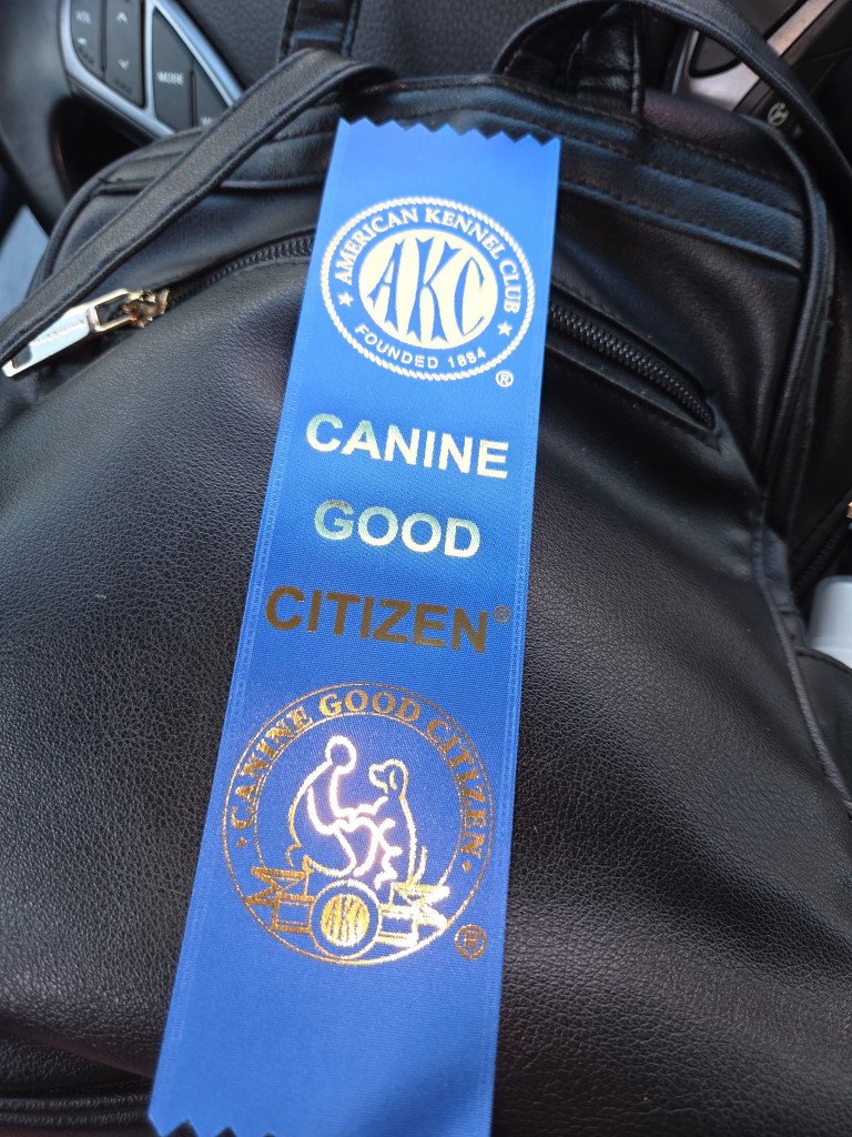 Canine Good Citizen Test: Service Dog Lady Priscilla - Lady Priscilla ...